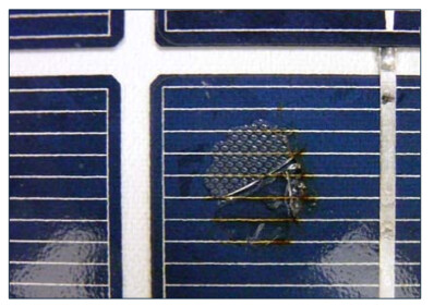 Hanwha Q-Cells Solar Panels - Compare Solar Systems - Solar Choice