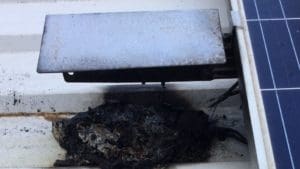 Solar Panel Maintenance Guide | Solar Choice