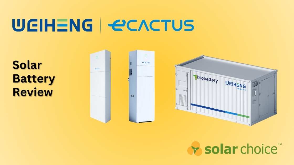 eCactus Battery: Independent Review by Solar Choice